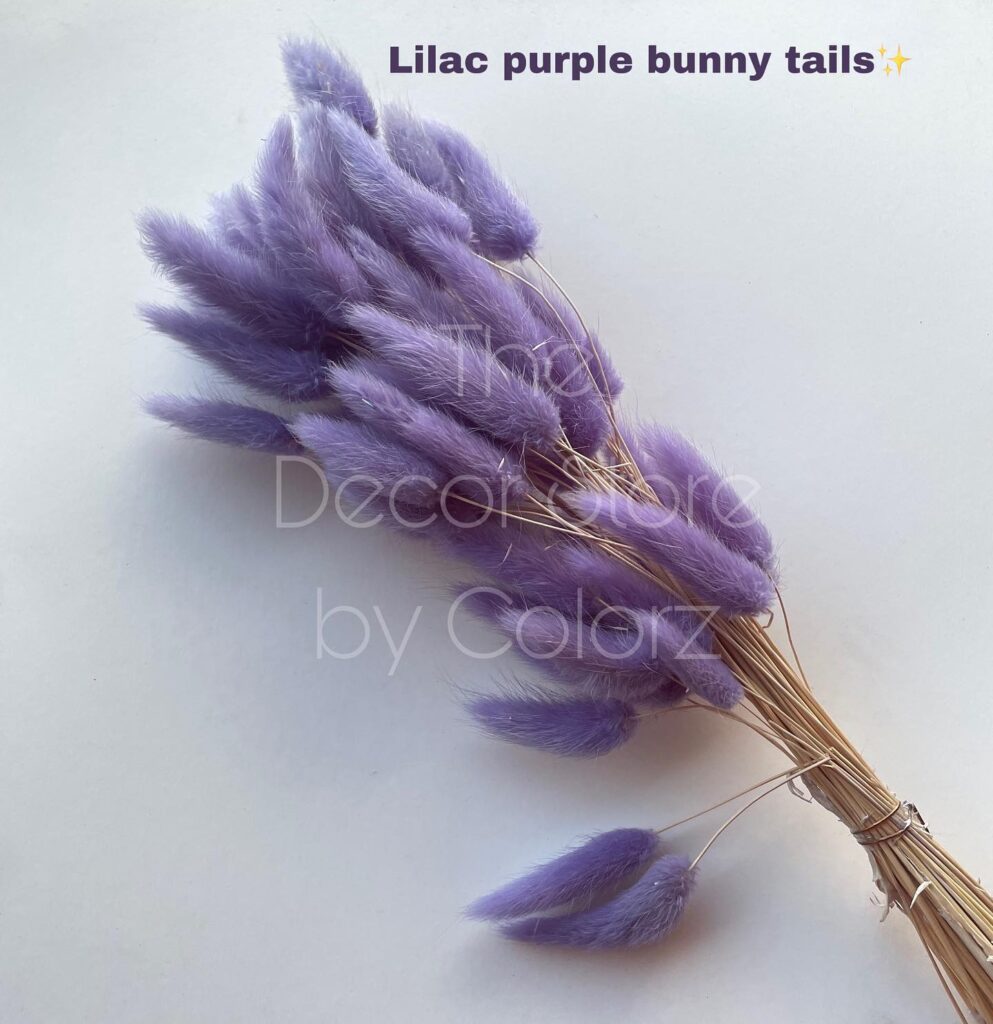 Bunny Tails (Lilac Purple) – Colorz LK | The Decor Store | Sri Lanka