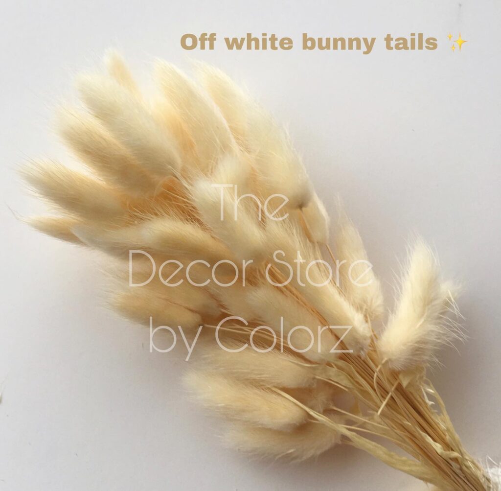 Bunny Tails (Off white) - Colorz LK | The Decor Store | Sri Lanka