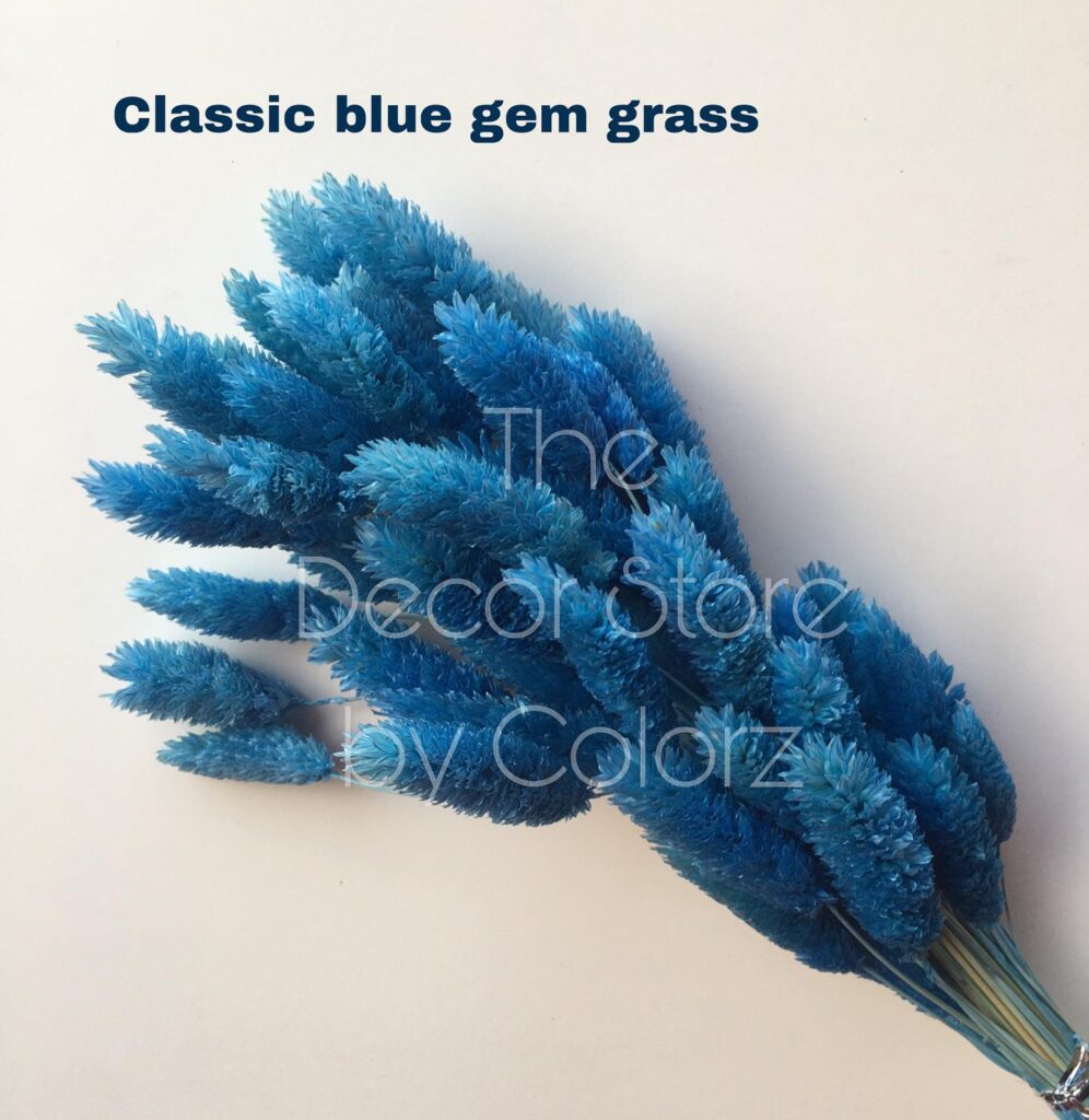 Dried Gem Grass (Classic Blue) - Colorz LK | The Decor Store | Sri Lanka
