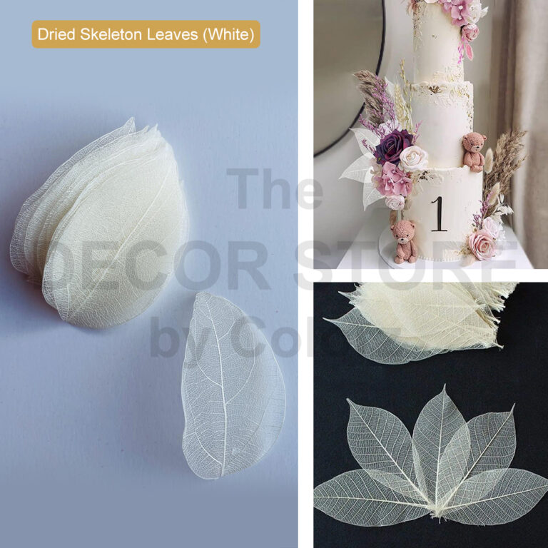 Dried Skeleton Leaves (White) - Colorz LK | The Decor Store | Sri Lanka