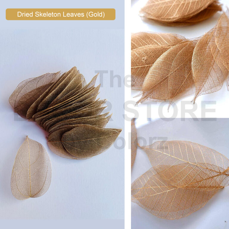 Dried Skeleton Leaves (Gold) – Colorz LK | The Decor Store | Sri Lanka