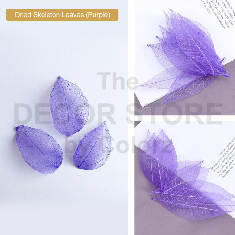 Dried Skeleton Leaves (Purple) - Colorz LK | The Decor Store | Sri Lanka