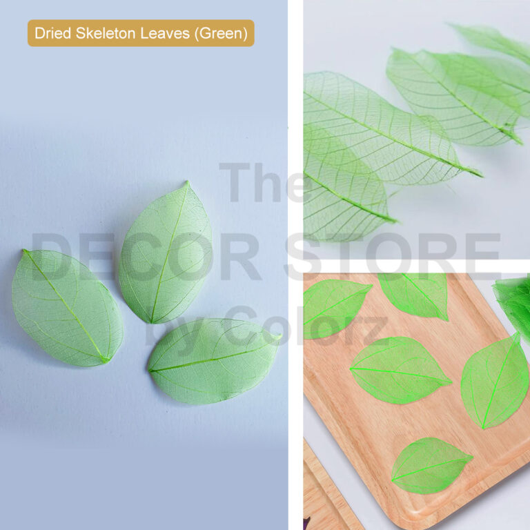 Dried Skeleton Leaves (Green) - Colorz LK | The Decor Store | Sri Lanka