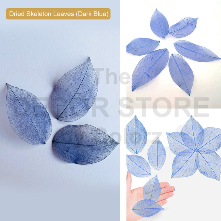 Dried Skeleton Leaves (Dark Blue) – Colorz LK | The Decor Store | Sri Lanka