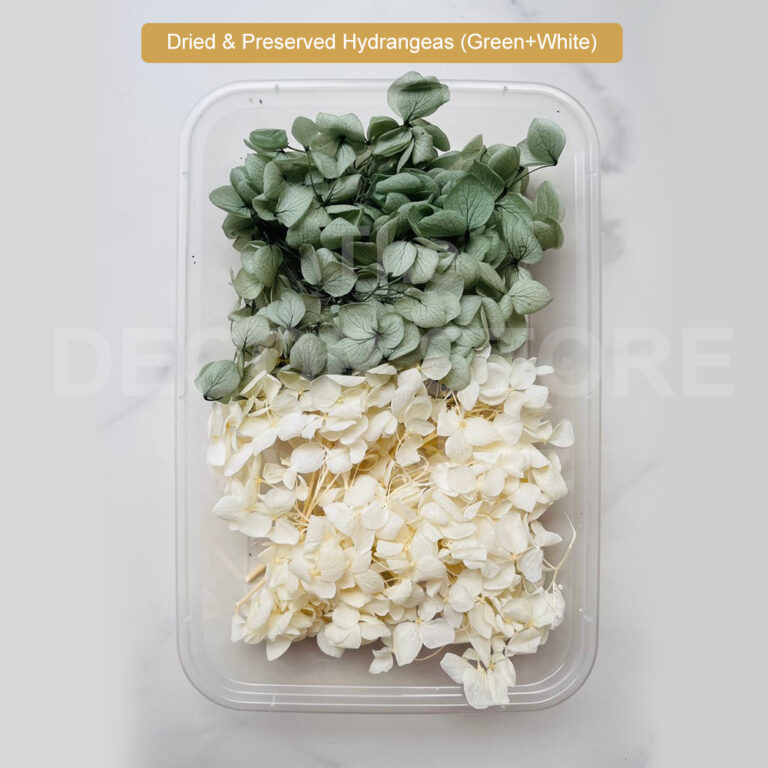 Dried & Preserved Hydrangeas (Green+White) – Colorz LK | The Decor ...