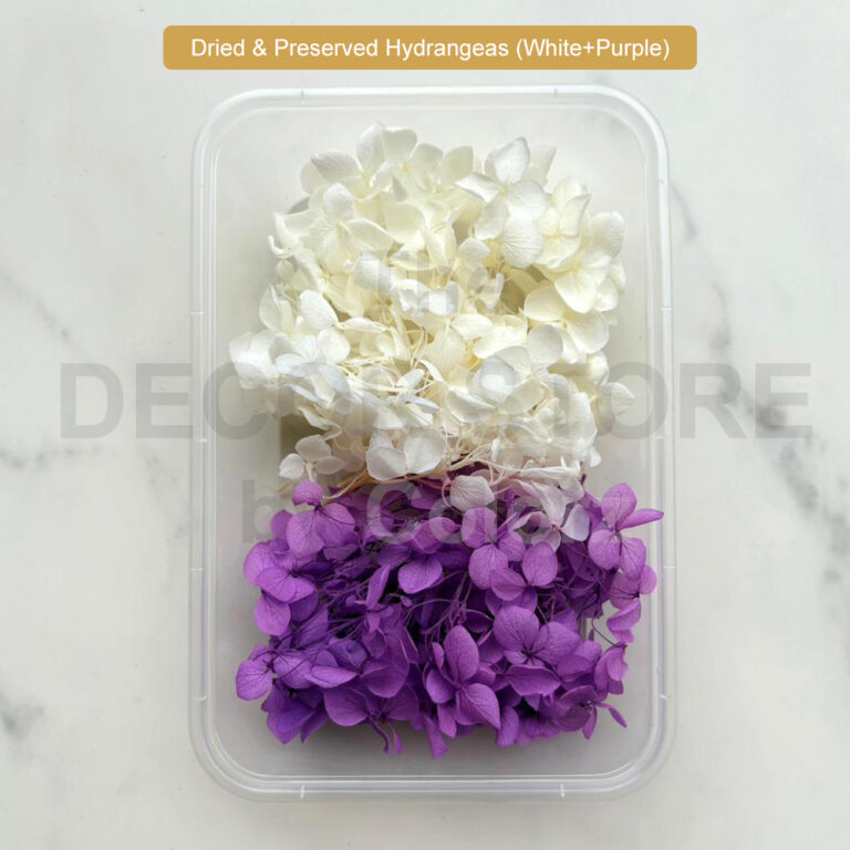 Dried & Preserved Hydrangeas (Medium Purple+White) - Colorz LK | The ...
