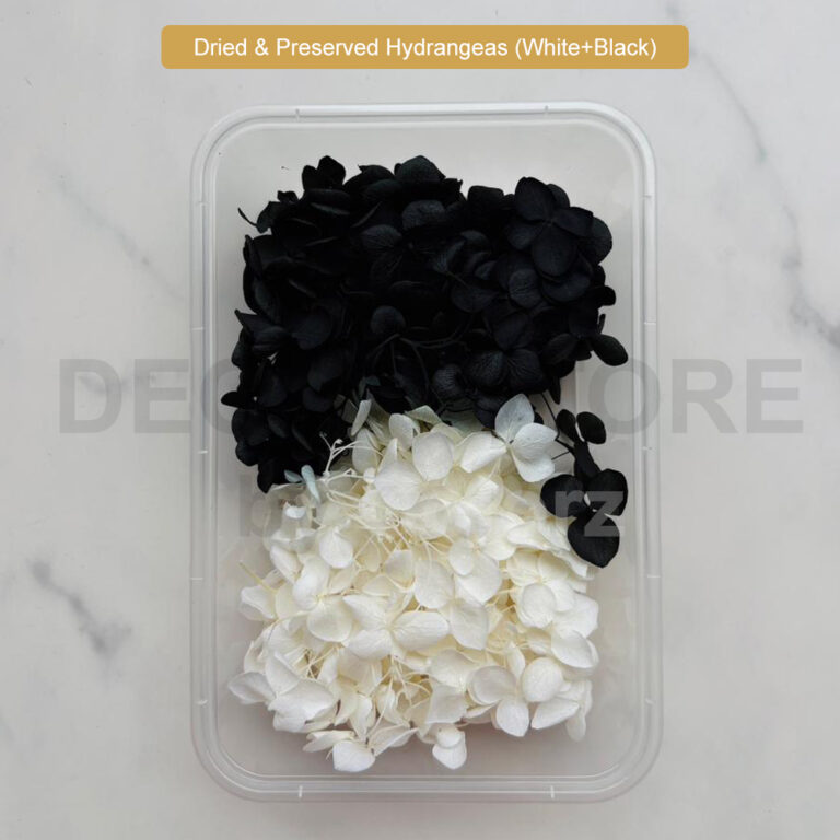Dried & Preserved Hydrangeas (Black+White) – Colorz LK | The Decor ...