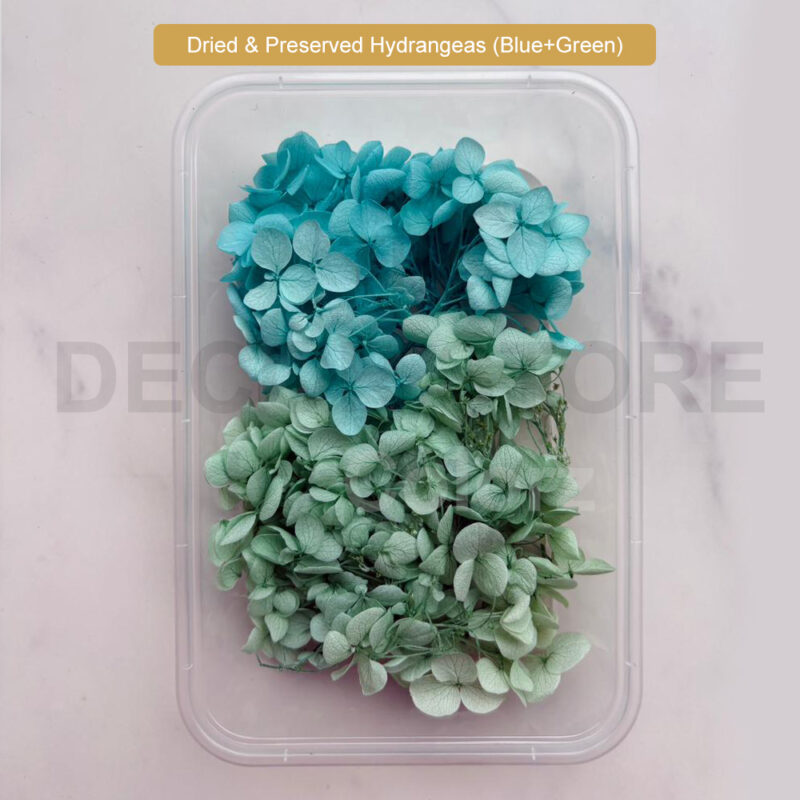 Dried & Preserved Hydrangeas (Blue+Green) - Colorz LK | The Decor Store ...