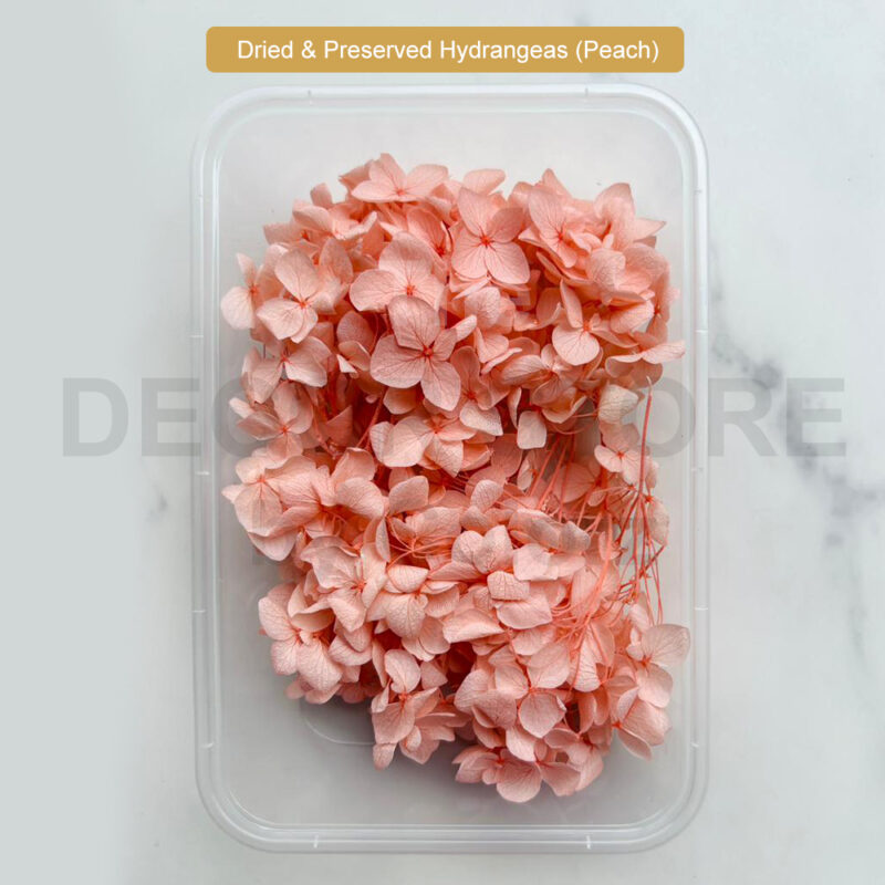 Dried & Preserved Hydrangeas (Peach) - Colorz LK | The Decor Store ...