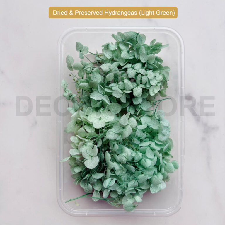 Dried & Preserved Hydrangeas (Light Green) – Colorz LK | The Decor ...
